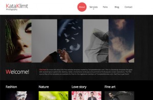 14 templates HTML5 gratuits | Webdesigner Trends